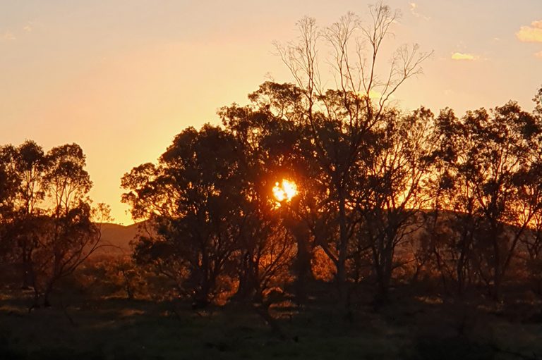 Barossa Offroad Campers & Accessories - Ultimate, Bluewater, Mits Alloy